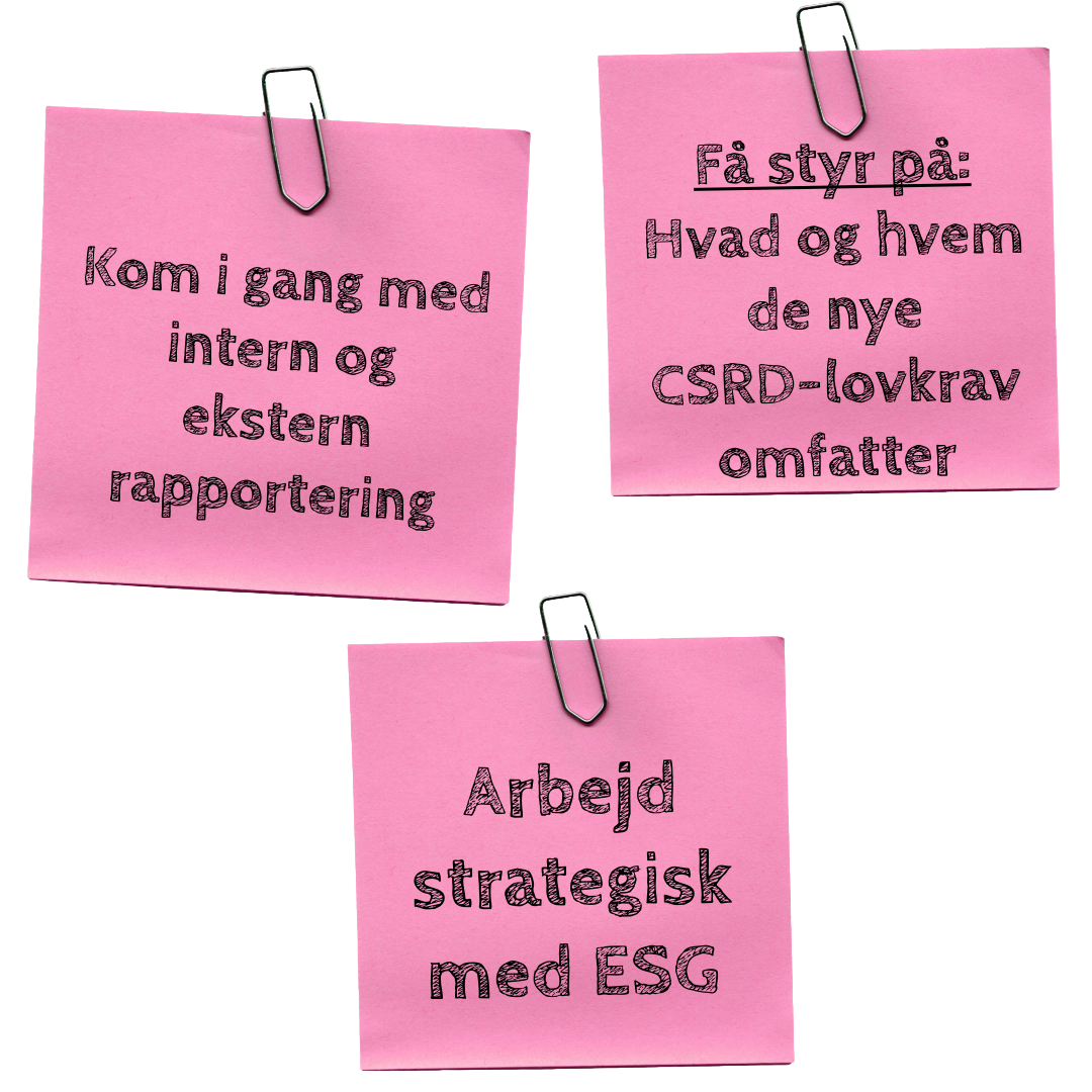 Otte trin til ESG-rapportering - her får du min tilgang til ESG ...